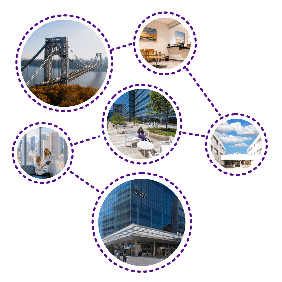 NYU Langone Neurosurgery Network